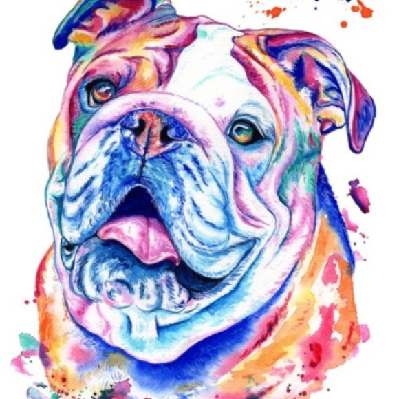 Dastash | Tops | Colorful English Bulldog Splatter Tshirt Dog Dogs ...